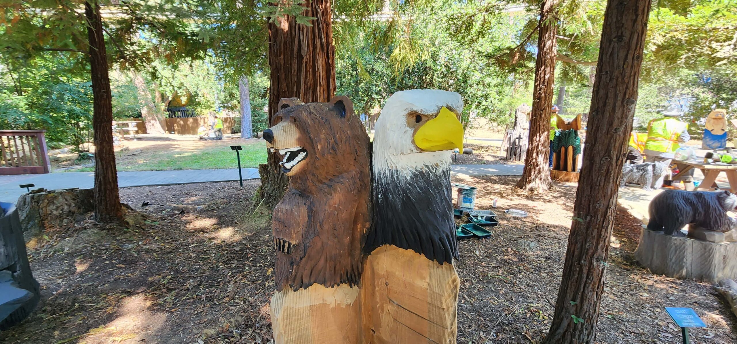 Forest Center - The California Forest Foundation