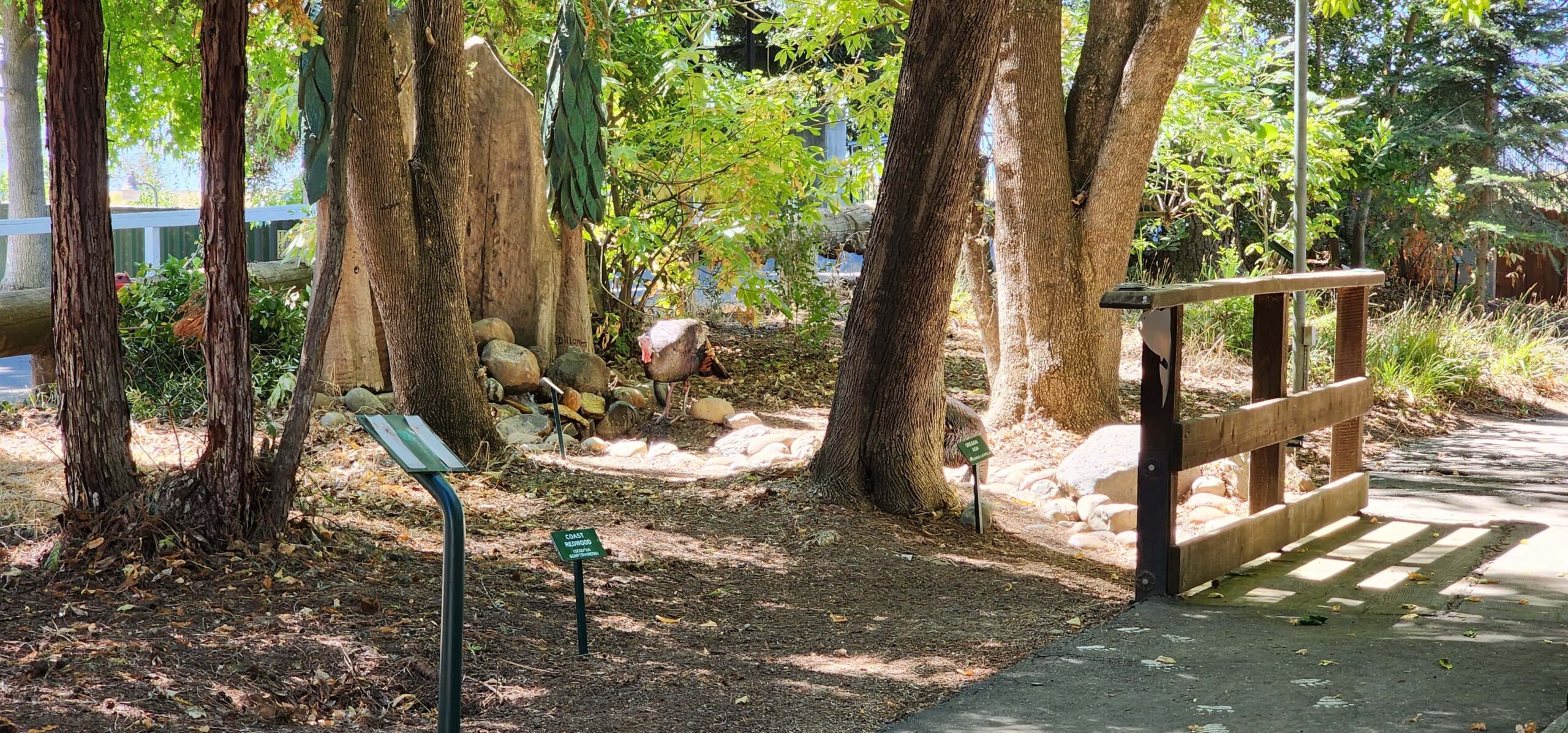 Forest Center - The California Forest Foundation