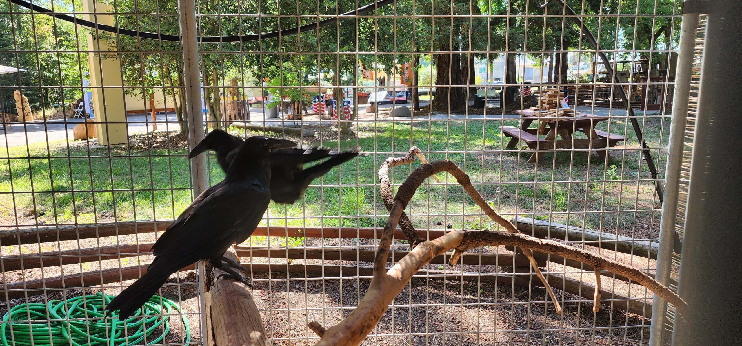 Forest Center - The California Forest Foundation