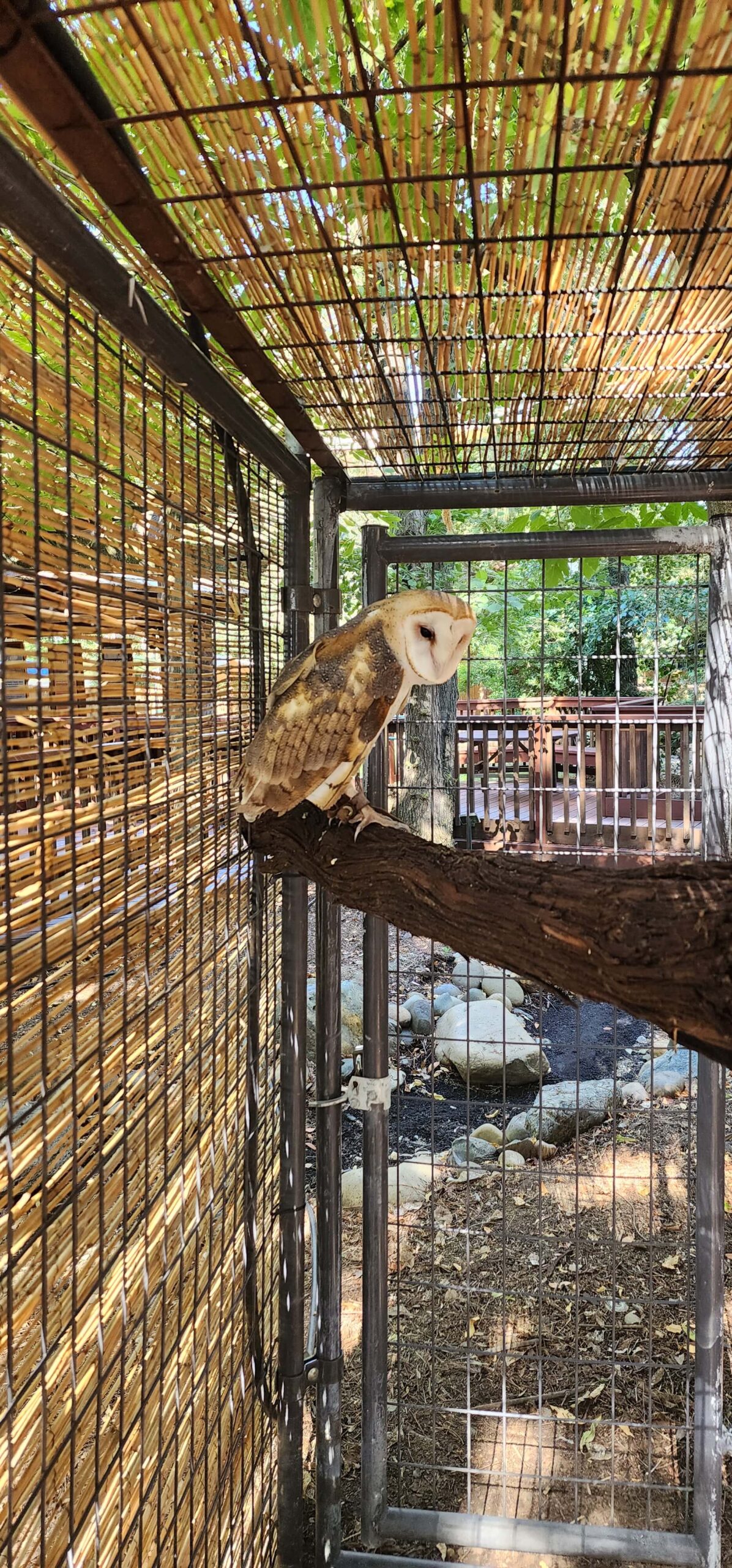 Forest Center - The California Forest Foundation