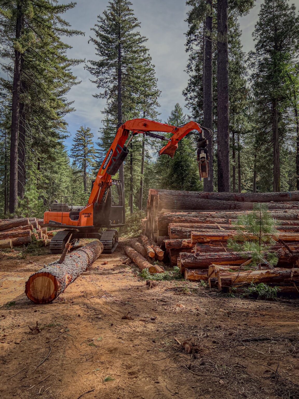 About Us - The California Forest Foundation
