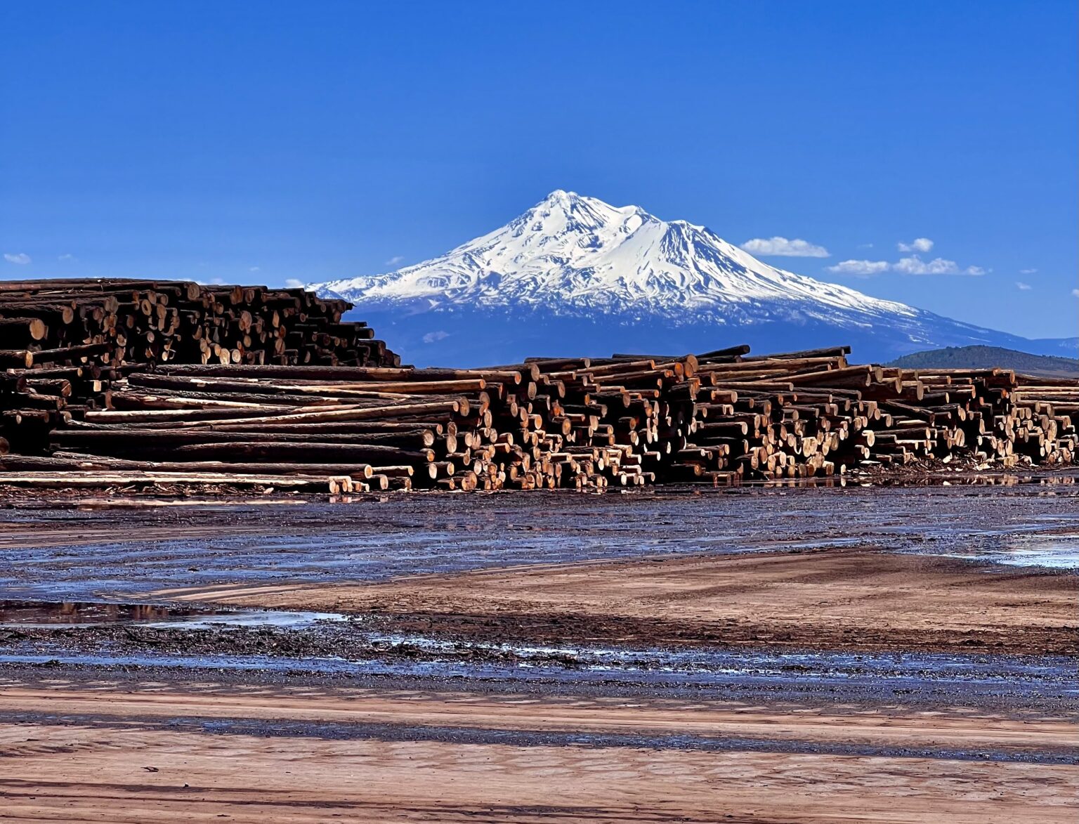 Forest Management - The California Forest Foundation