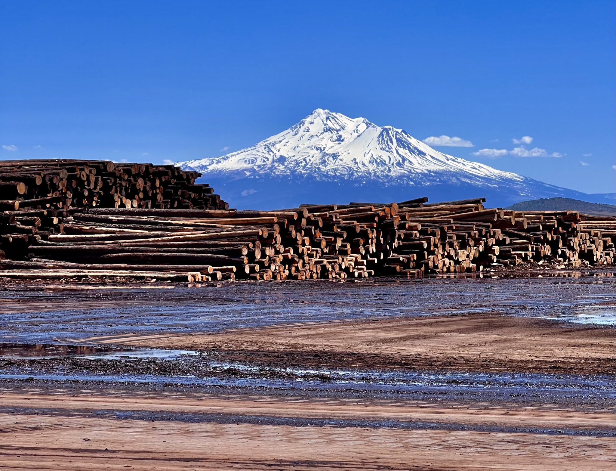 Forest Management - The California Forest Foundation