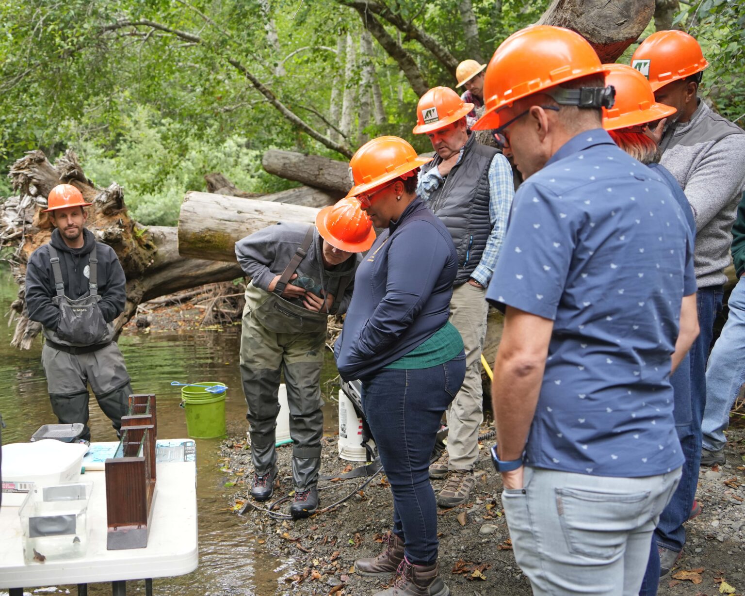 Forest Tours - The California Forest Foundation