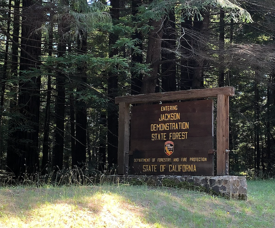 Woods Tours - The California Forest Foundation