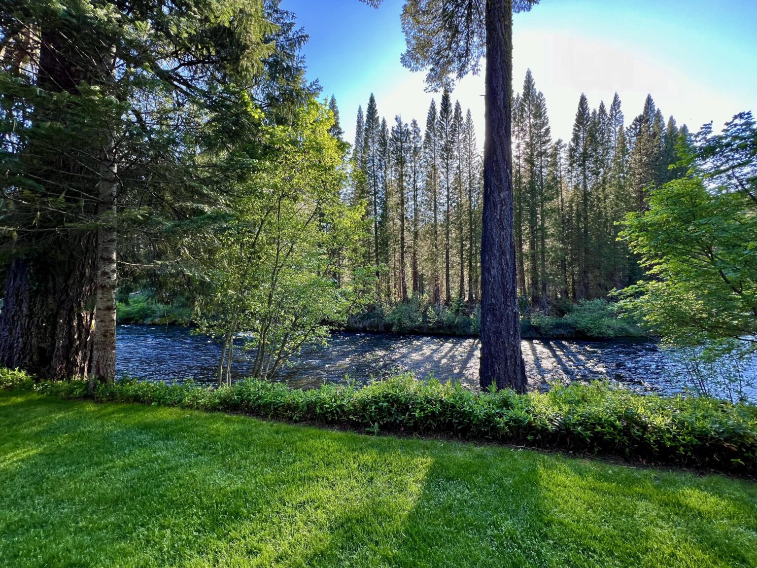 Forest Tours - The California Forest Foundation