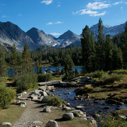Forest Management - The California Forest Foundation