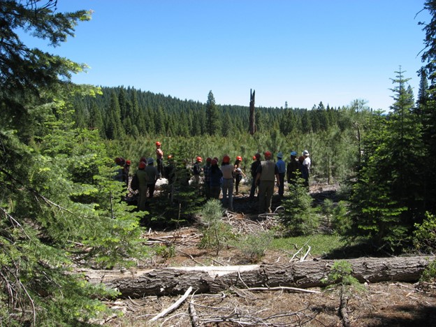 Policy & Regulation - The California Forest Foundation